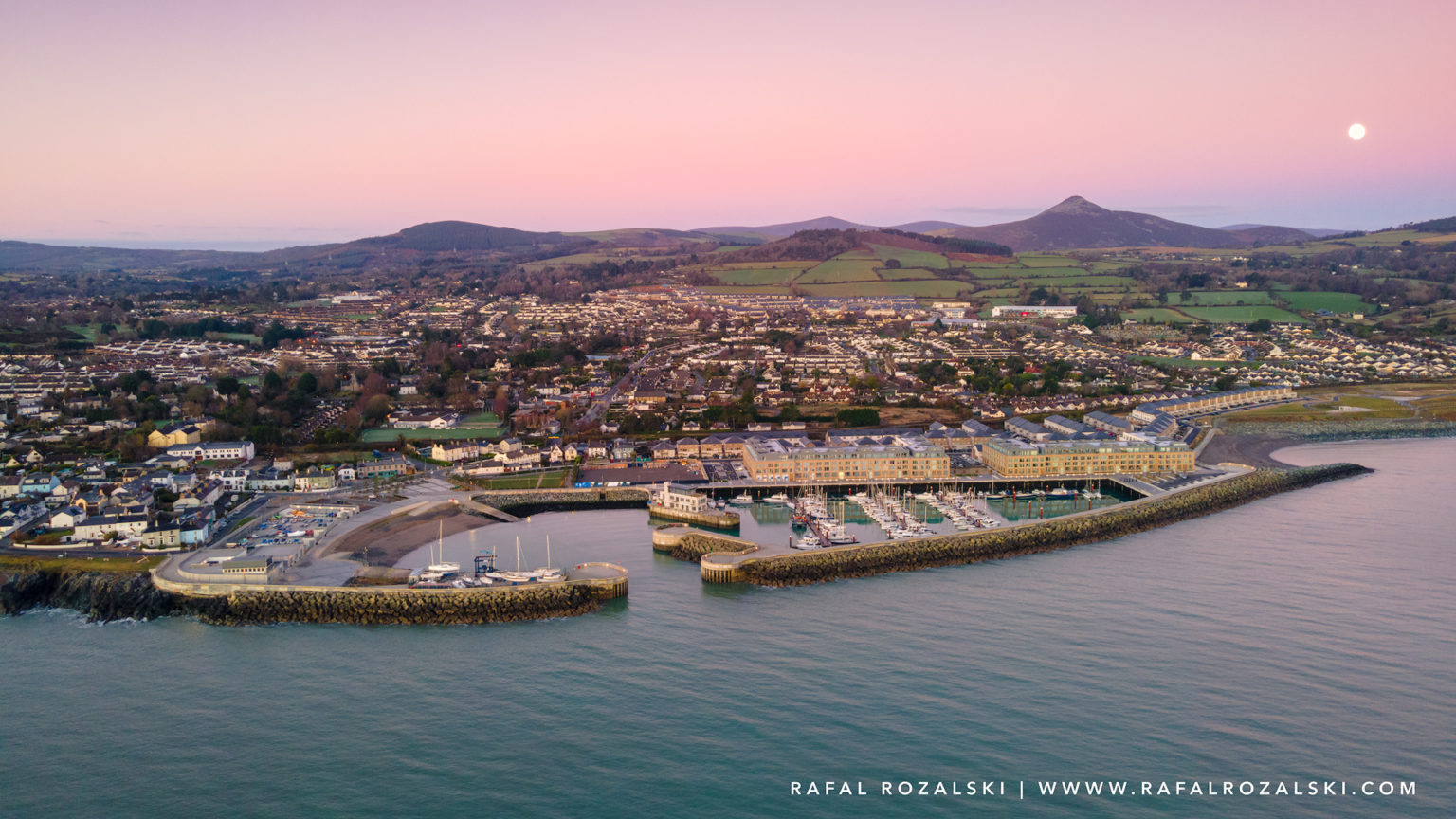 2021 Greystones Biodiversity Report - Greystones Tidy Towns