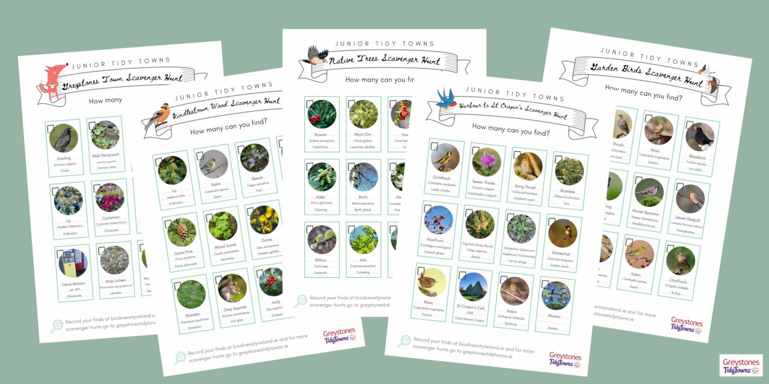 Biodiversity Scavenger Hunts! - Greystones Tidy Towns