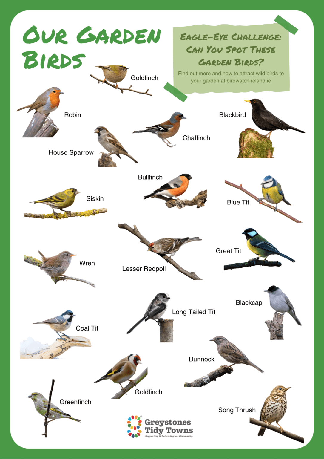 BirdWatch Ireland - Irish Garden Bird Survey & Printable Poster ...